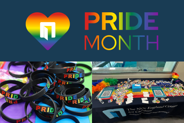 NECC Pride Alliance ERG Reflects on Pride Month | The New England ...
